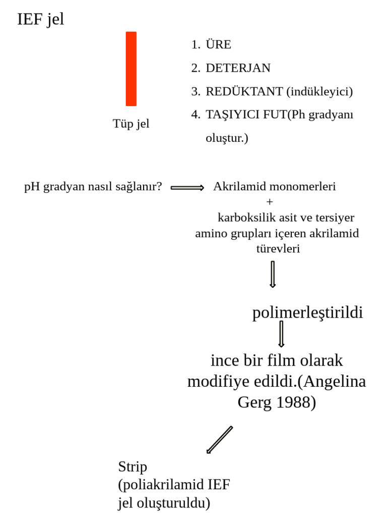 Ders 7 Proteomik Notlar | PDF