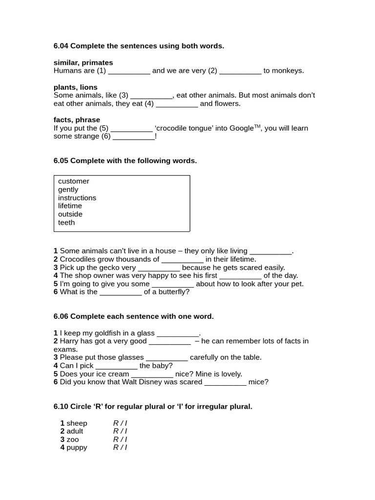 Guadalupe Paolantonio - A1+ Unit 6 Practice (More Challenging) | PDF