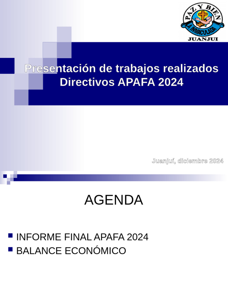 Informe y Balance APAFA 2024 | PDF