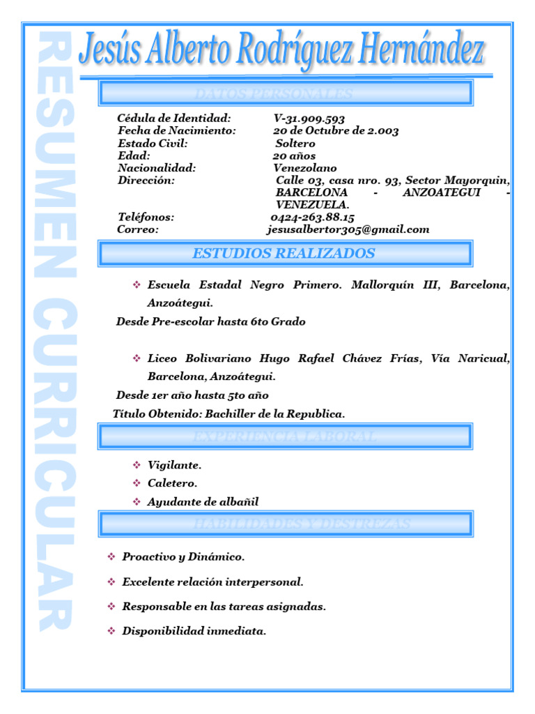 Currículum Jesus Rodríguez | PDF