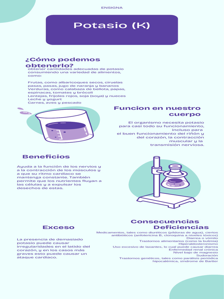 Infografía Proyecto de Ciencia Moderno Azul y Violeta_20240506_134955_0000 | PDF | Potasio | Química