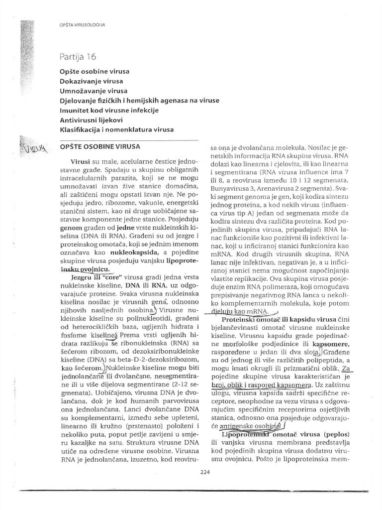 Skripta P1 MM2 | PDF