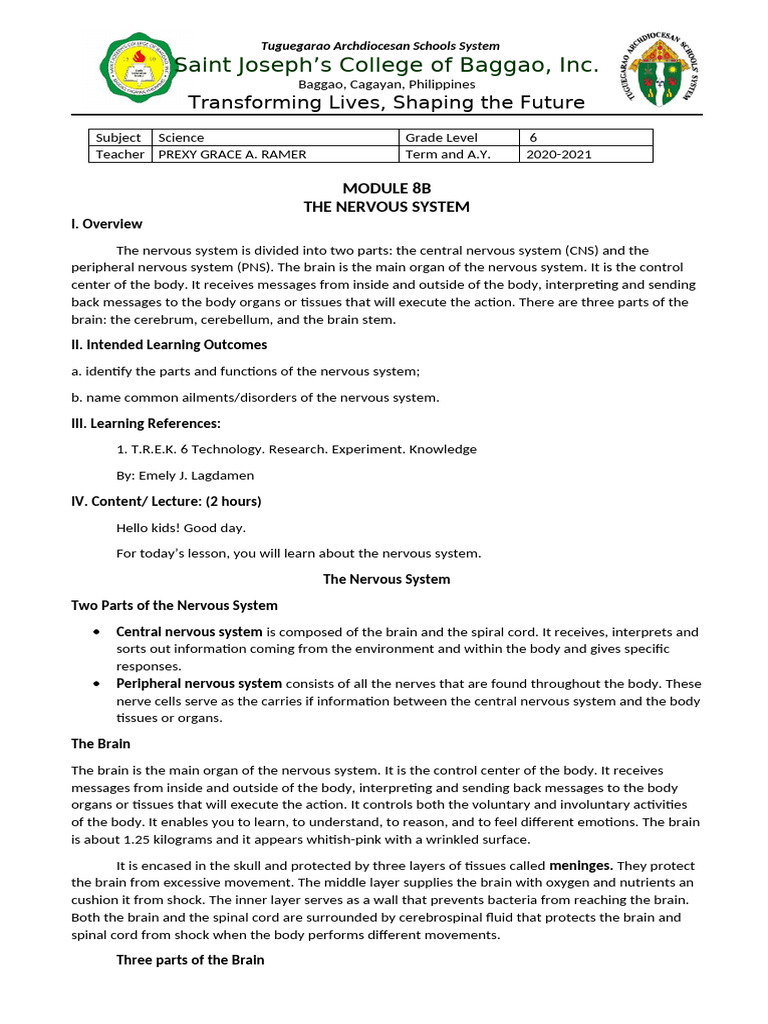 module 8B science 6 | PDF | Central Nervous System | Neuron