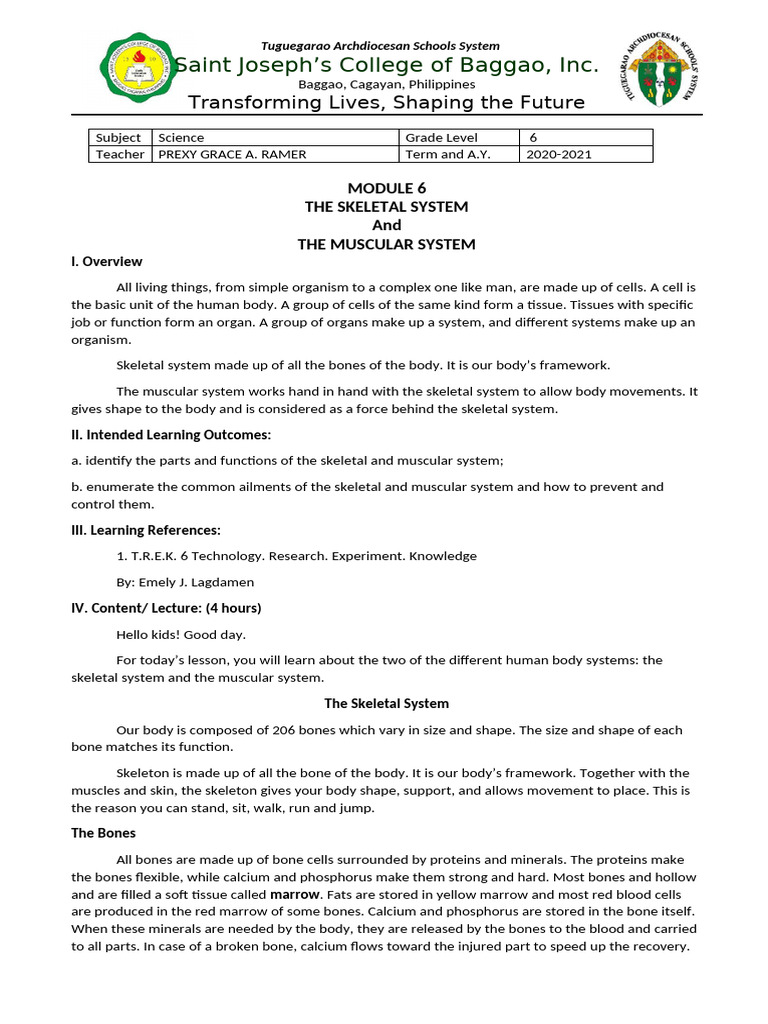 module 6 science 6 | PDF | Muscle | Skeletal Muscle