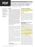 Surgical Anatomy of Doom and Pain Triangles | PDF | Abdomen