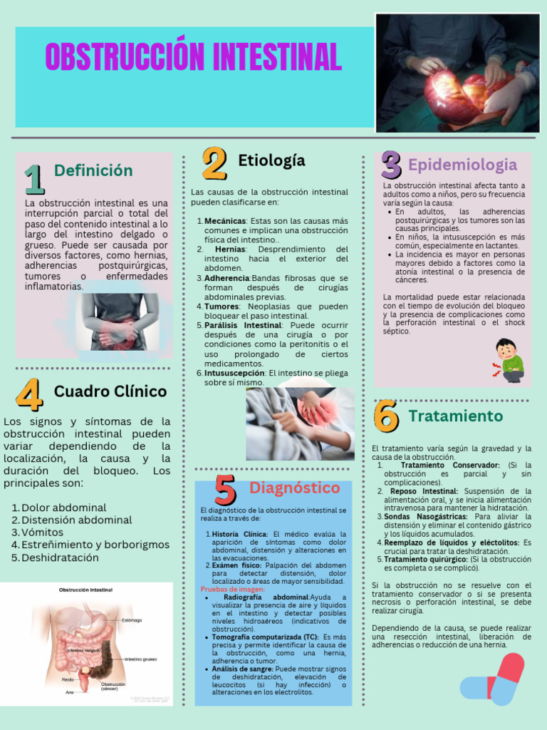 Obstrucción Intestinal: Causas y Tratamiento | PDF | Medicina ...
