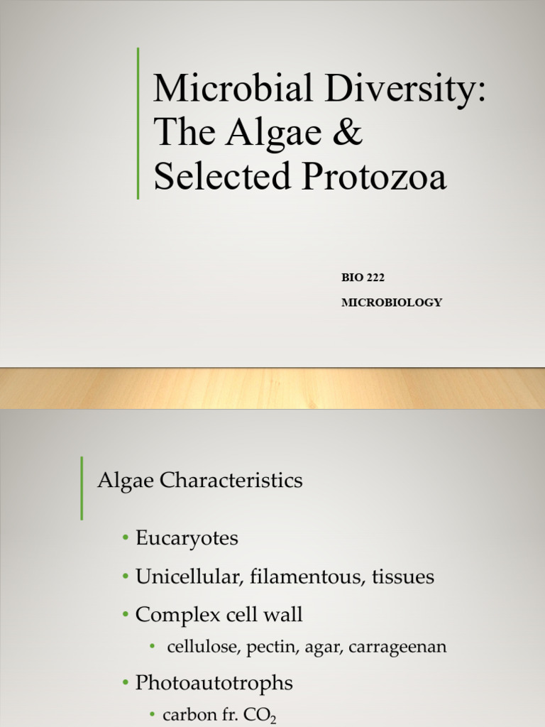 Overview of Algae and Protozoa | PDF | Algae | Cyanobacteria