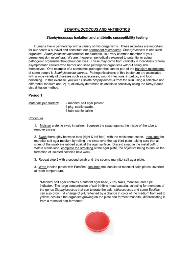 STAPHYLOCOCCUS AND ANTIBIOTICS (2) | PDF | Staphylococcus | Staphylococcus Aureus
