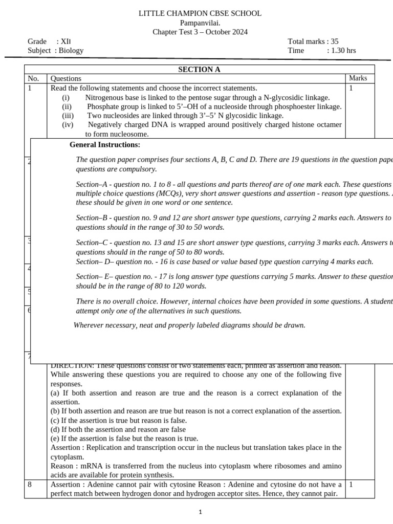GR 12 Biology Chapter Test 3 2024 | PDF | Gene | Translation (Biology)