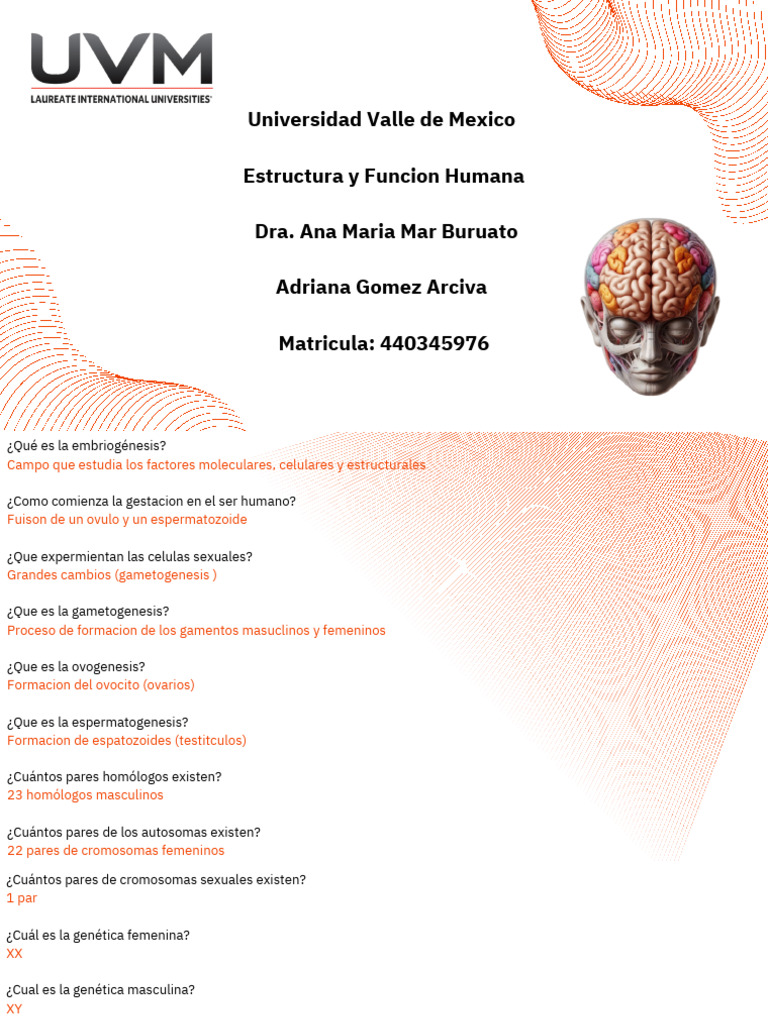 Embriogénesis y Gametogénesis Humana | PDF | Epitelio | Anatomía