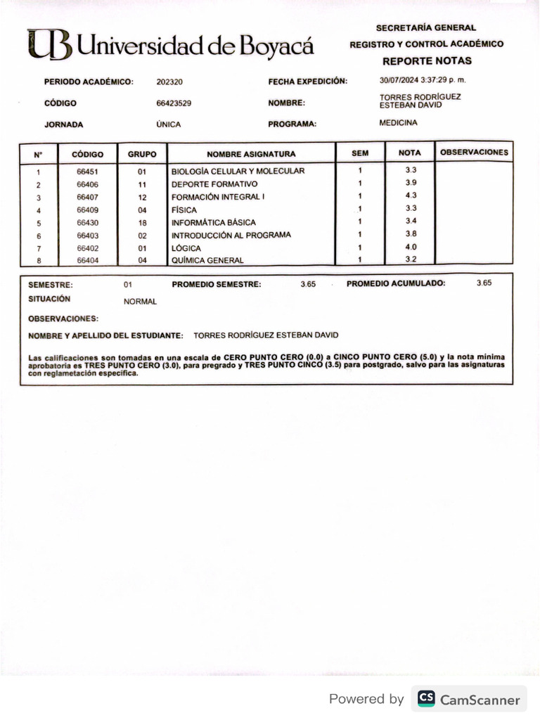 Reporte de Notas | PDF