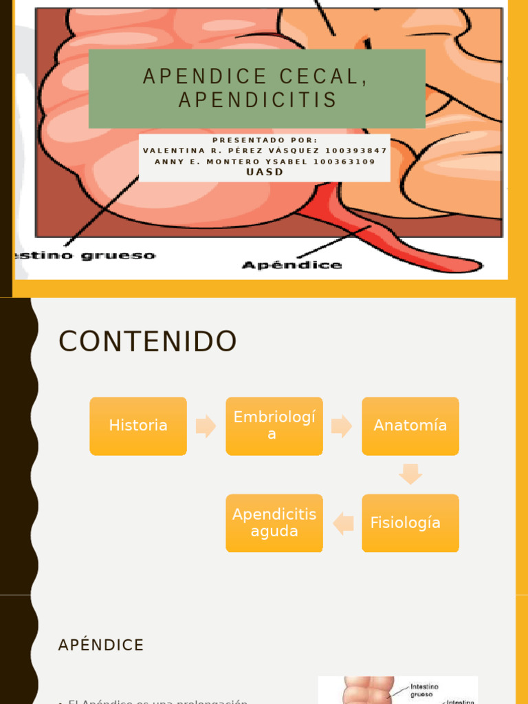 Apendicitis: Historia, Anatomía y Tratamiento | PDF | Gastroenterología ...