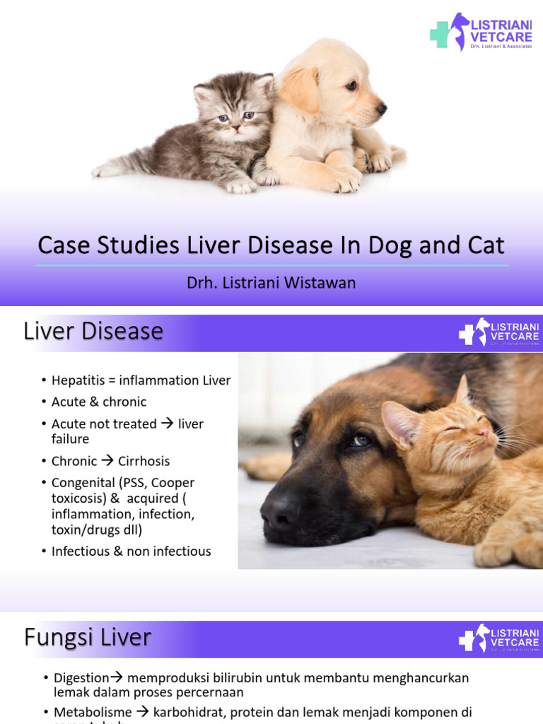 Case Study Liver Disease Dog and Cat - Edited3 | PDF | Cirrhosis | Liver