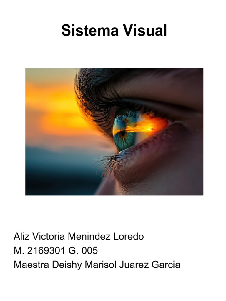 Sistema Visual: De la Luz a la Retina | PDF | Percepción visual ...