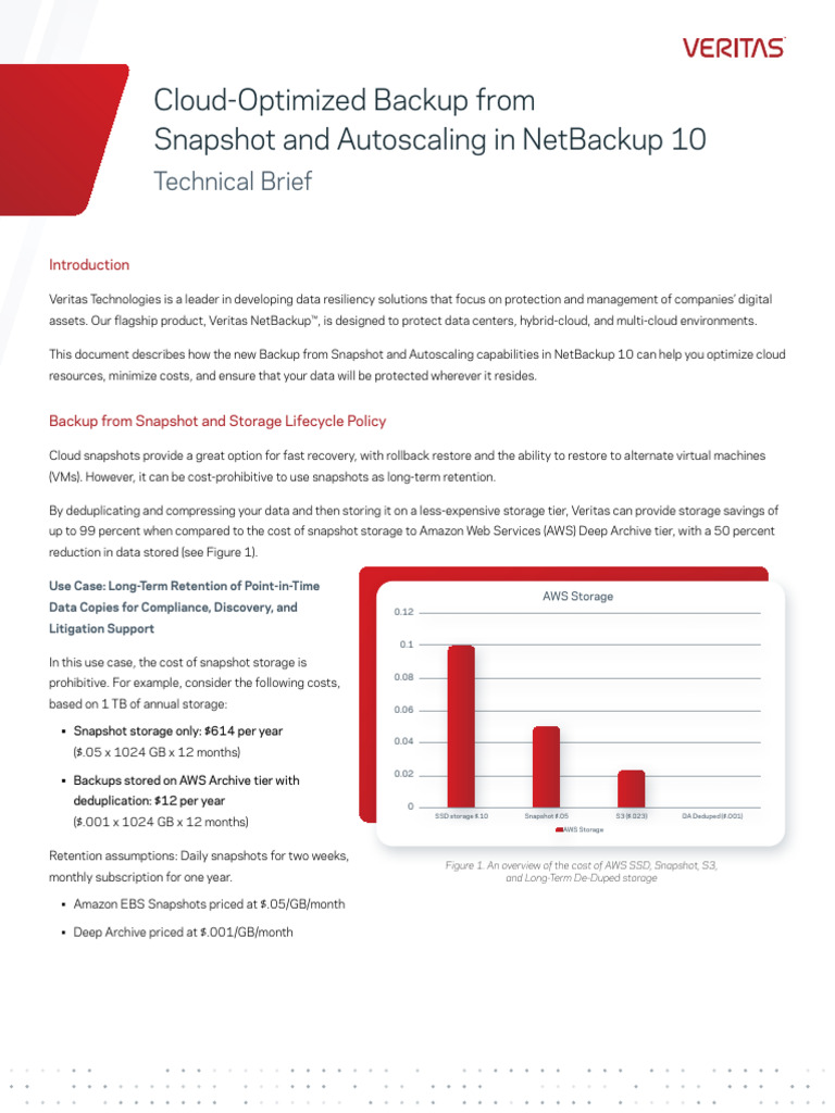 Cloud-Optimized Backup From Snapshot and Autoscaling in NetBackup 10 | PDF | Cloud Computing ...