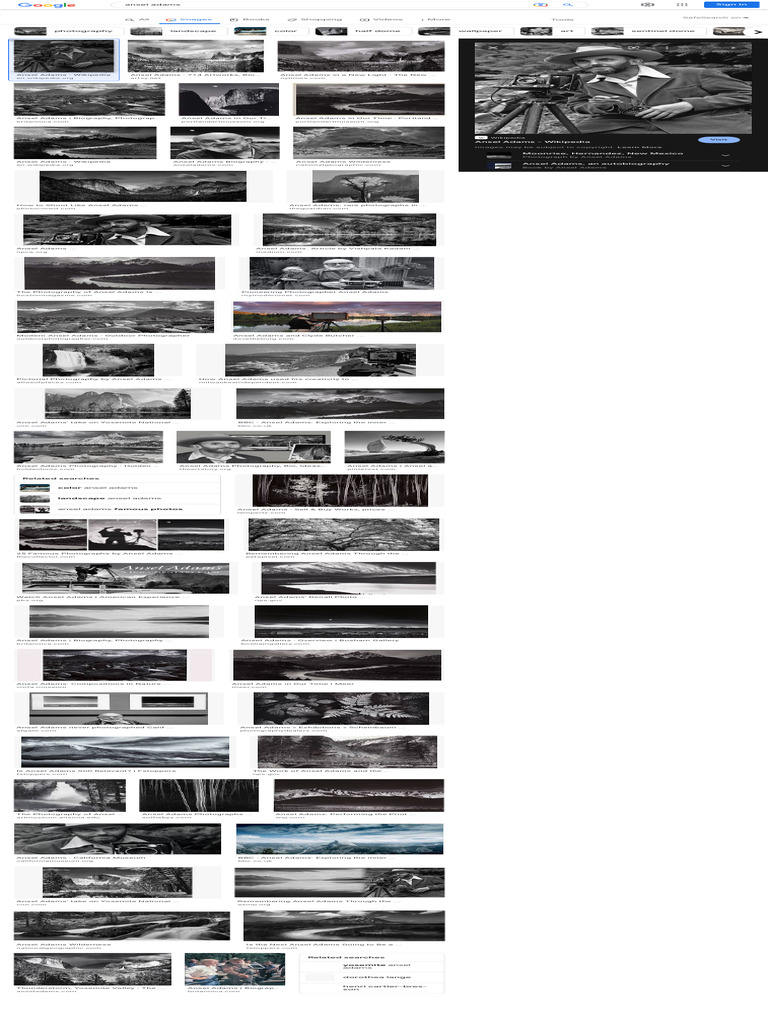 Ansel Adams - Google Search | PDF | Imaging