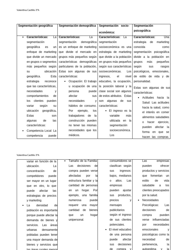 Segmentaciones de Mercado Valee | PDF | Segmentación de mercado | Marketing