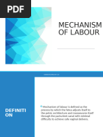 Mechanism of Labour | PDF | Pelvis | Anatomical Terms Of Motion