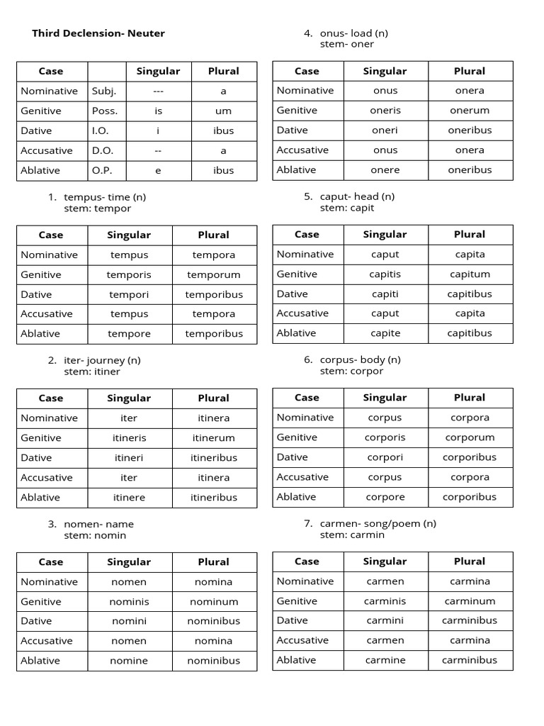 Latin Neuter Noun Declensions | PDF | Morphology | Semantics