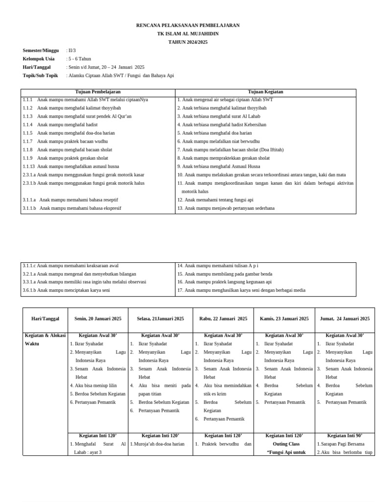 Fungsi Dan Bahaya Api | PDF