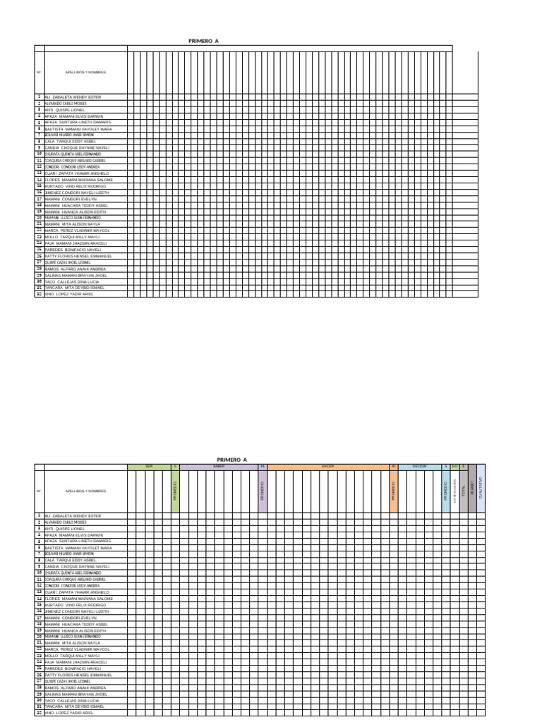Registro Borrados | PDF