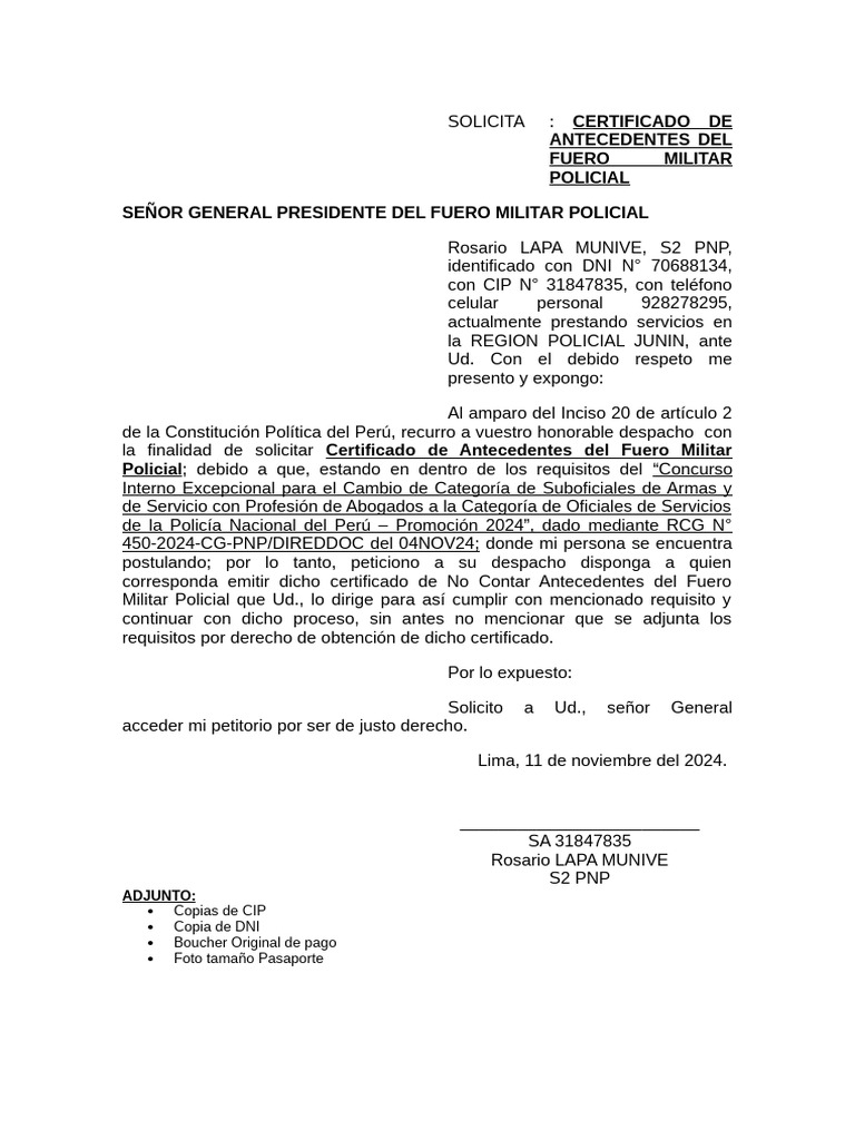 SOLICITA | PDF | Gobierno