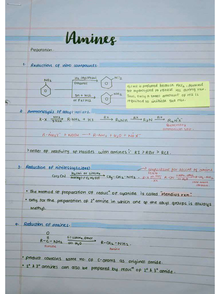 Amines Notes | PDF