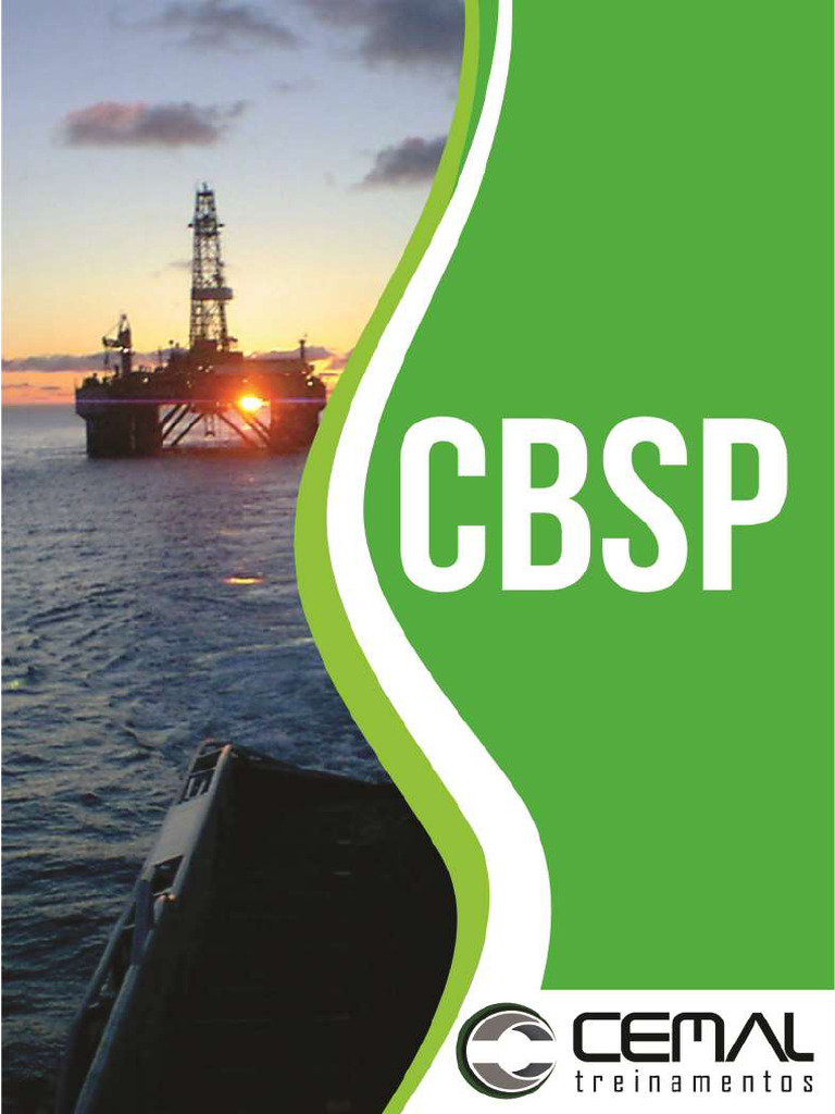 CBSP Rev 03 3 | PDF | Comunicação | Liderança