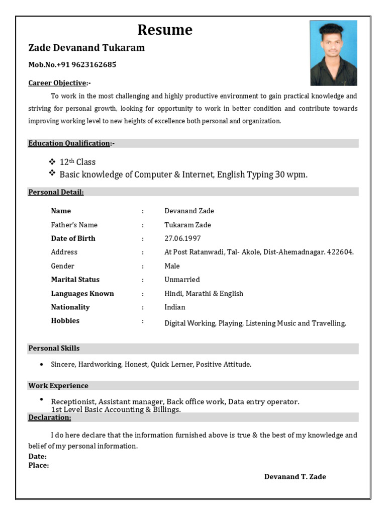 Entry-Level Job Seeker Resume | PDF