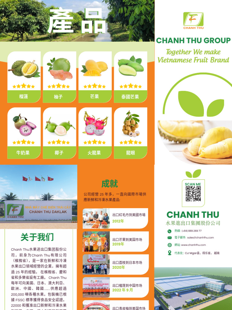 Flyer Chinese | PDF