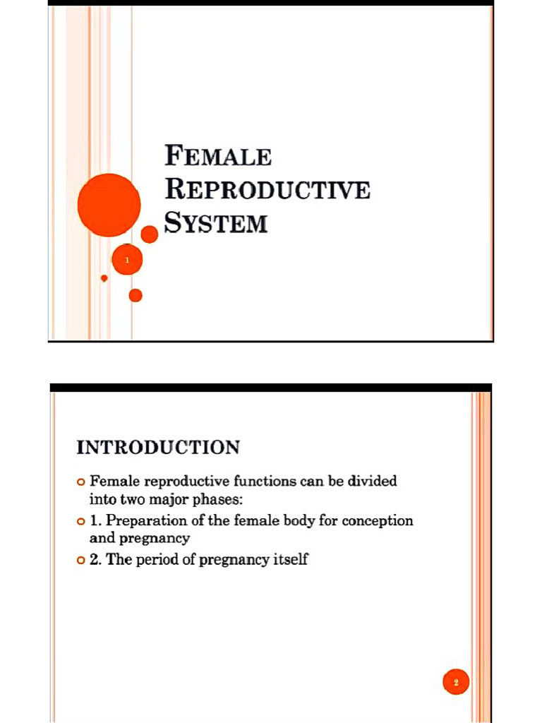 Female Repro PDF | PDF