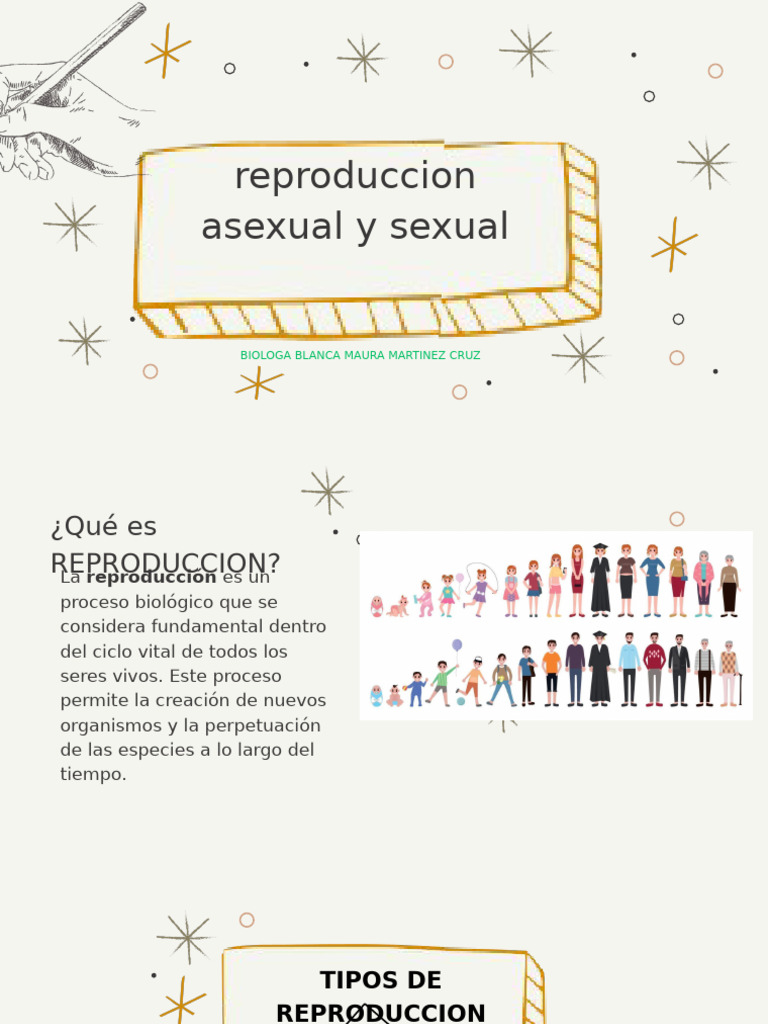 Reproduccion Asexual y Sexual | PDF | Reproducción | Sexo