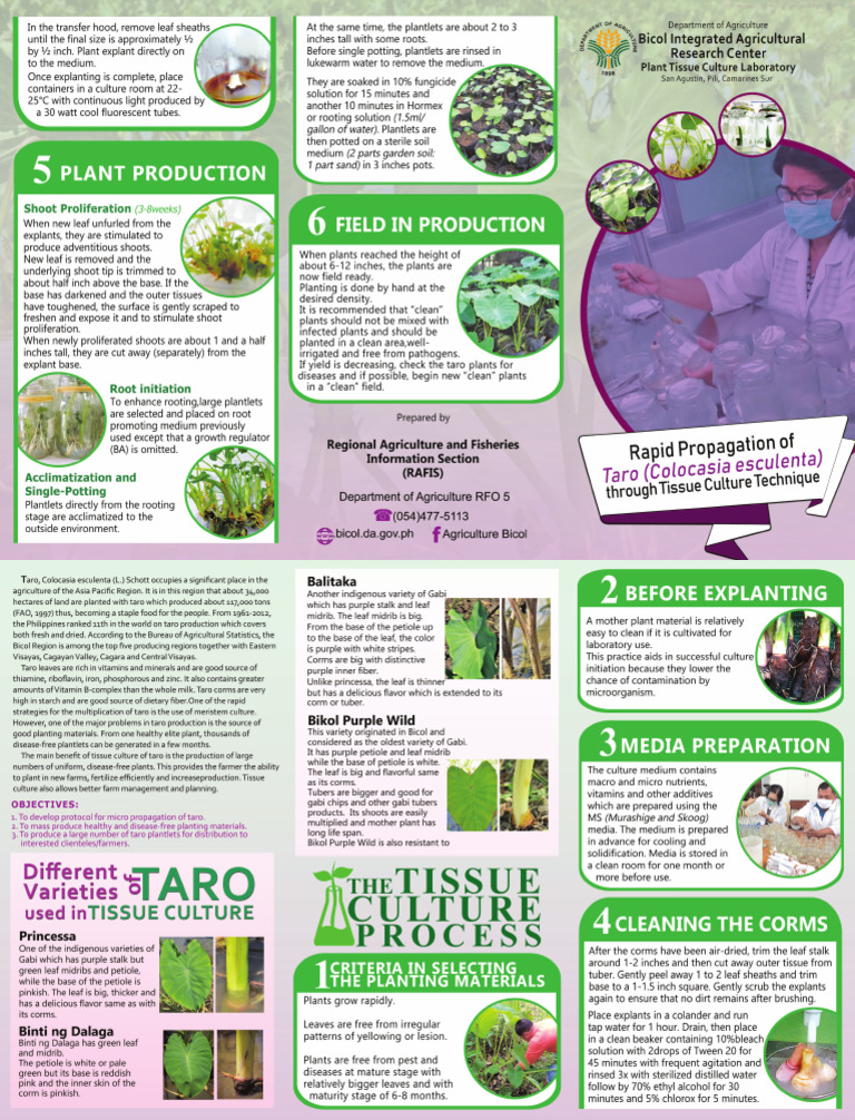 TARO Production Guide | PDF