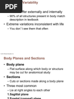 Body Cavities, Regions and Quadrants | PDF | Abdomen | Anatomy
