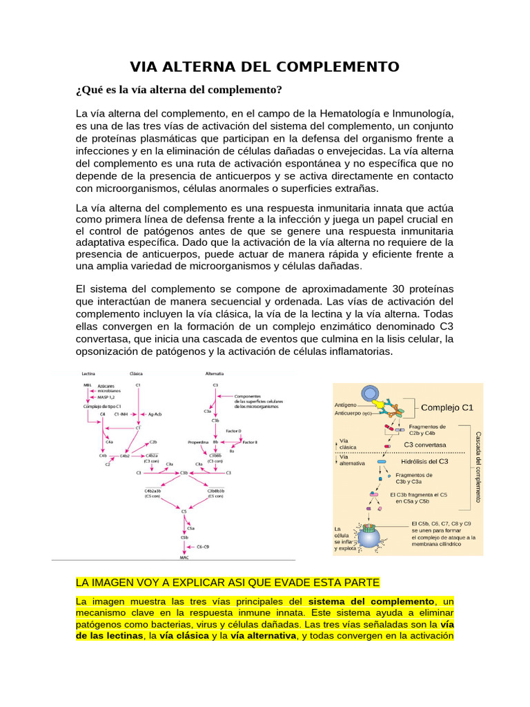 Vía Alterna del Complemento | PDF | Sistema complementario | Biologia de sistemas