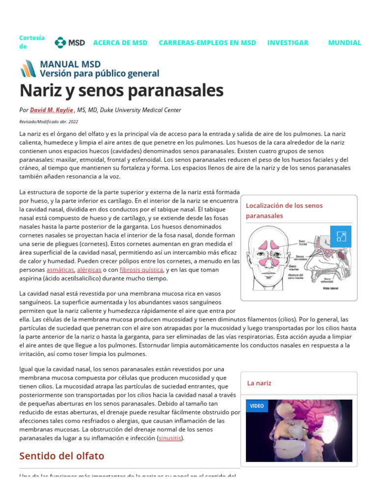 Nariz y Senos Paranasales - Trastornos Otorrinola | PDF | Nariz humana | Rinología
