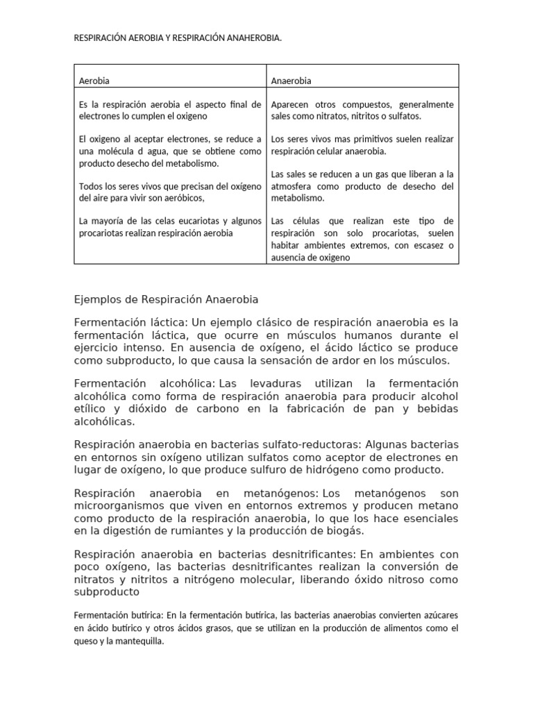 Respiracion Aerobia y Anaerobia | PDF | Respiración celular | Fermentación