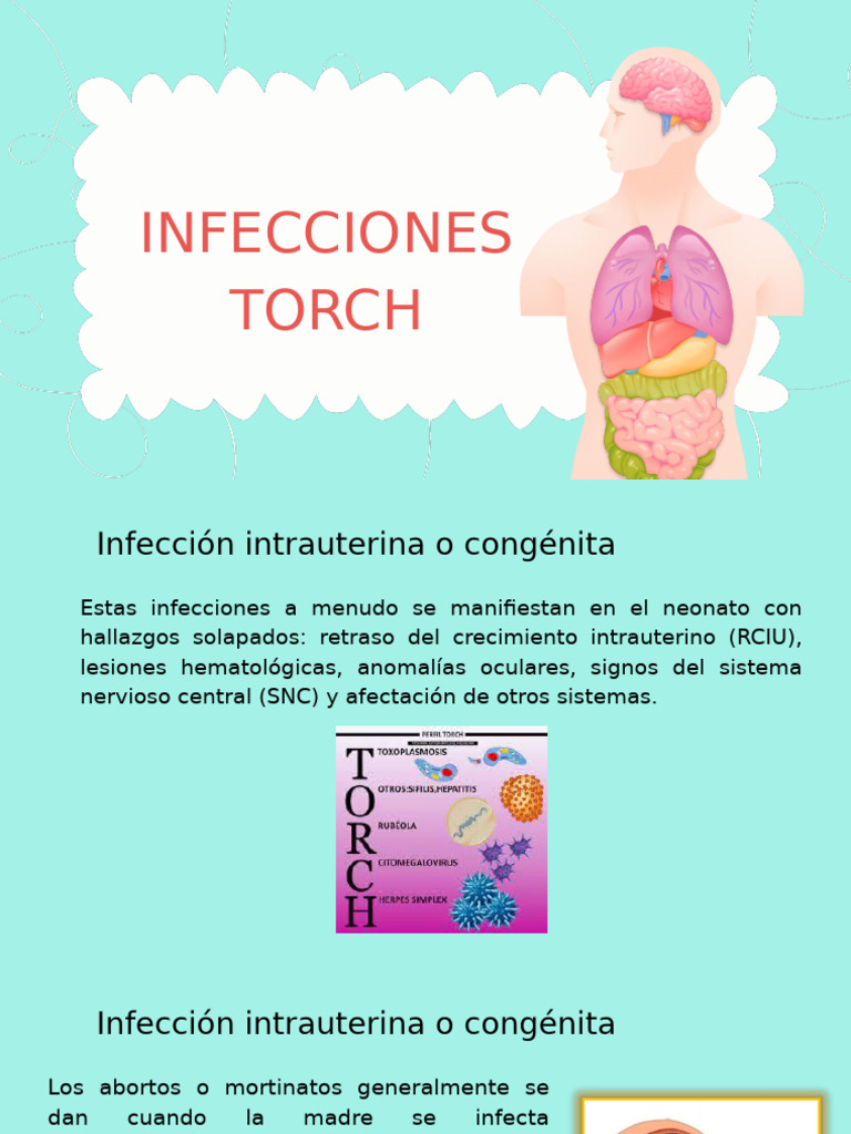 Infecciones TORCH en Neonatos | PDF | Medicina CLINICA | Enfermedades y ...