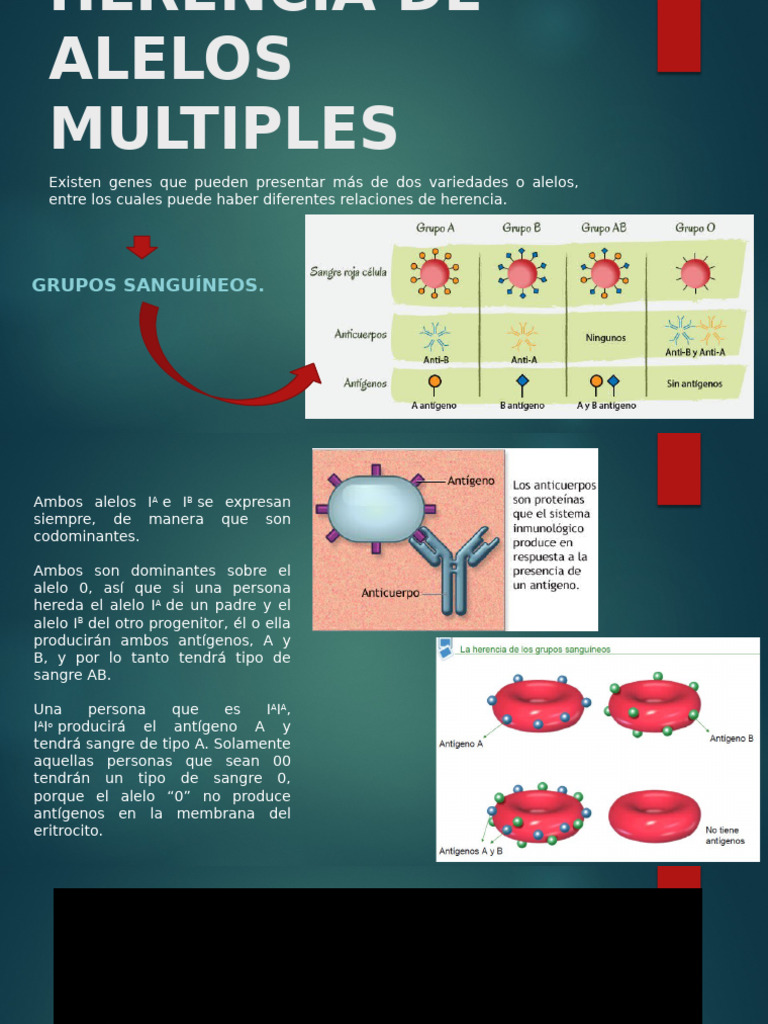 Herencia de Alelos Multiples | PDF