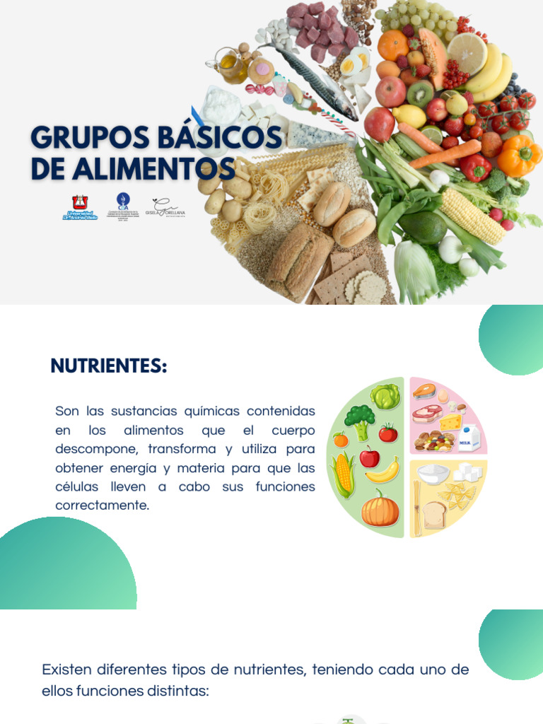 Grupos Básicos de Alimentos | PDF | gordo | Carbohidratos