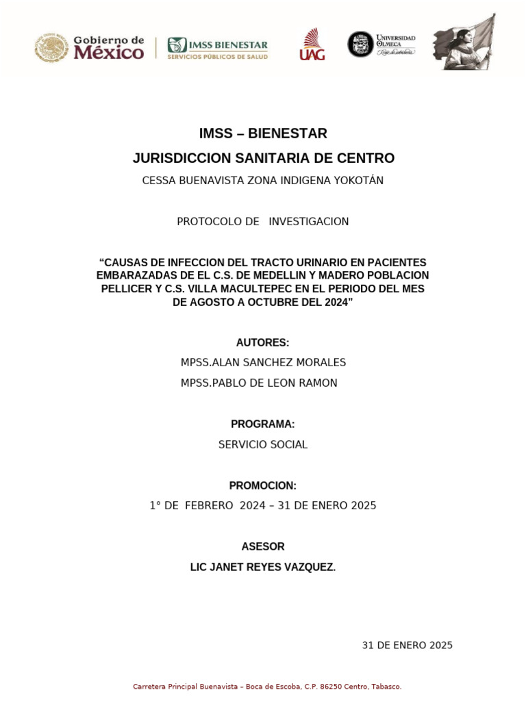 Ejemplo de Portada Protocolo 2025 | PDF