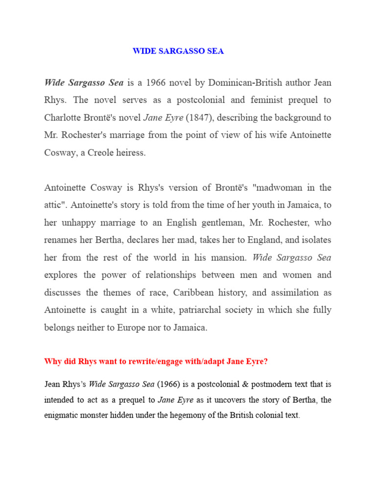 Analyzing Antoinette in Wide Sargasso Sea | PDF