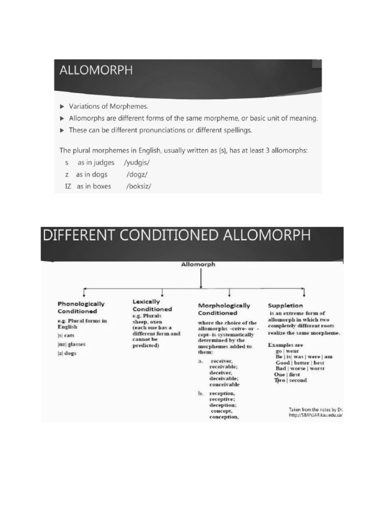 Allomorphs | PDF