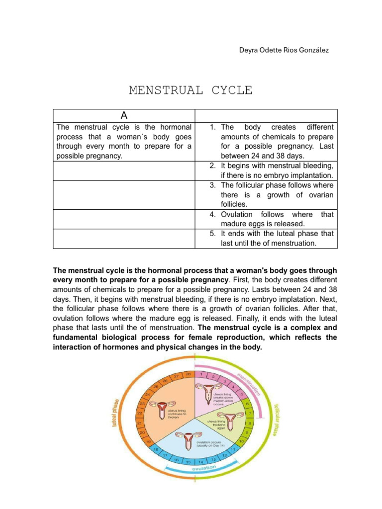 Menstrual Cycle | PDF