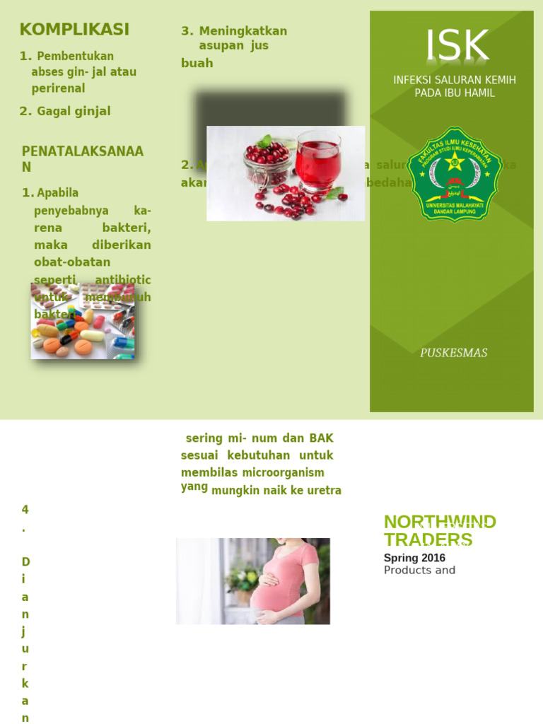 Leaflet ISK Pada Ibu Hamil | PDF
