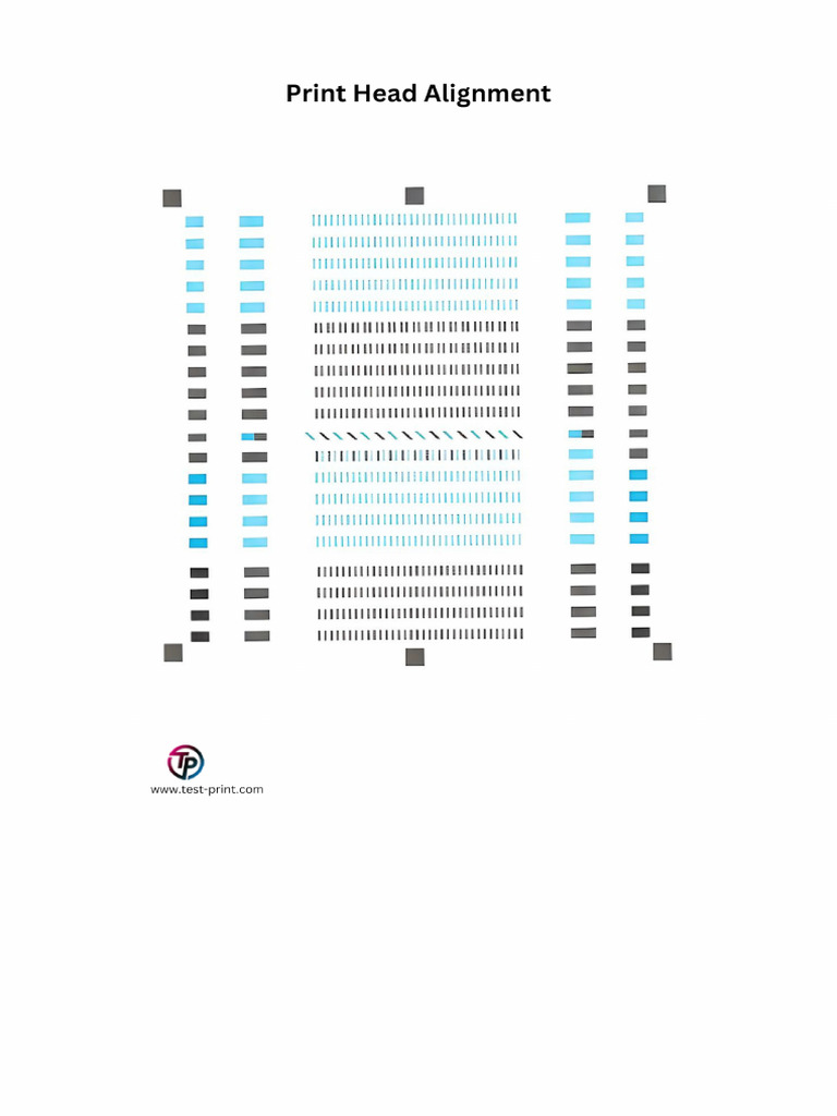 Print Head Alignment | PDF