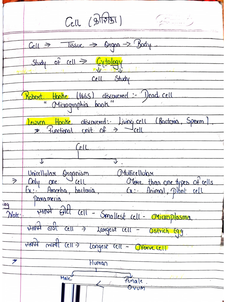 Default Folder 20250217 | PDF