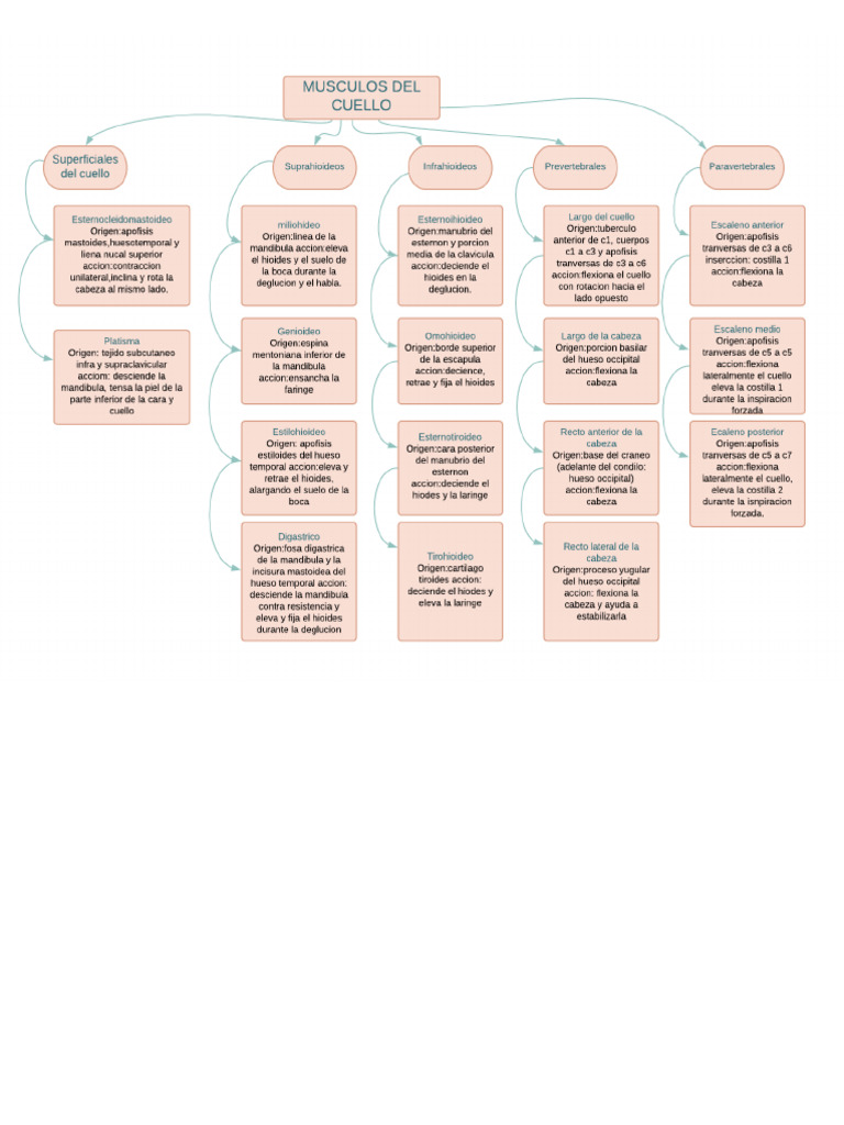 Mapas Conceptuales | PDF