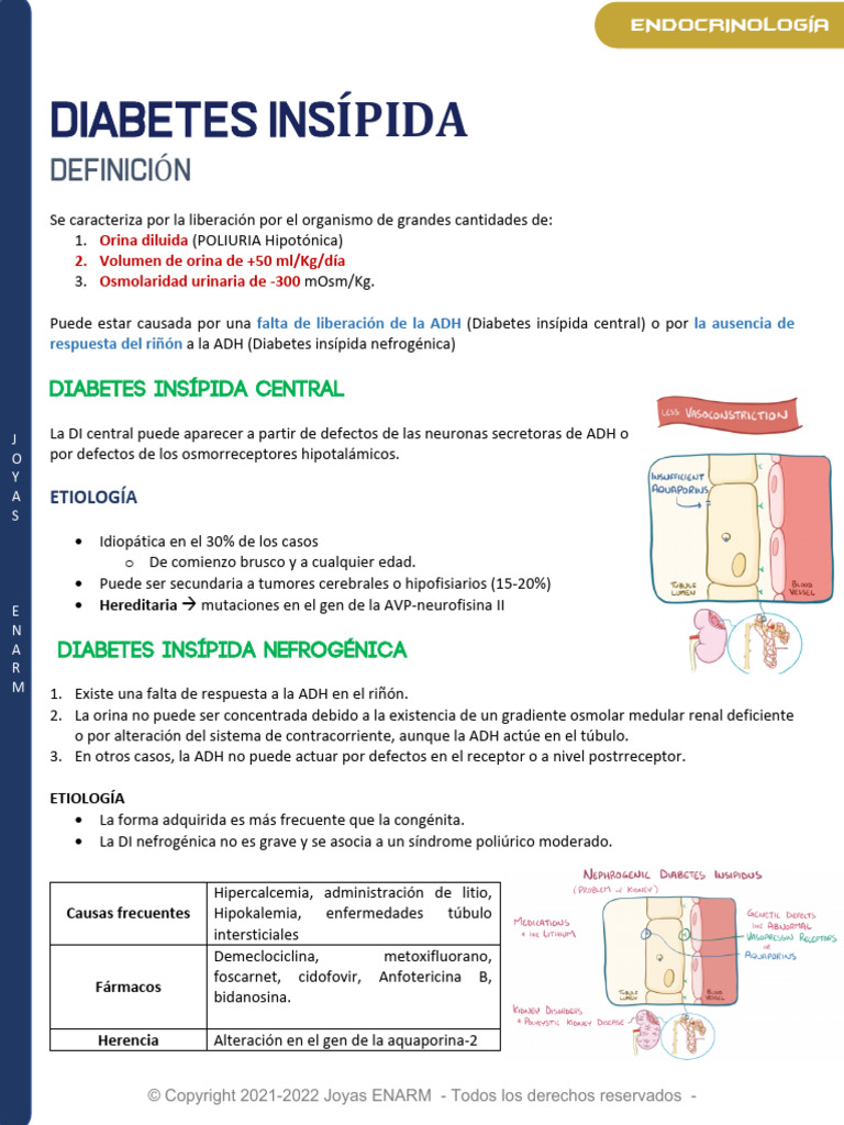 Diabetes Insípida | PDF | Especialidades Medicas | Enfermedades y ...