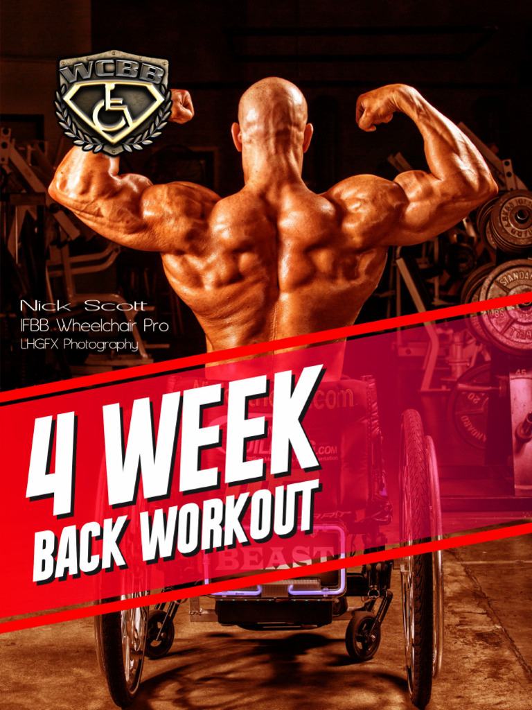 Back Workout - Version 1.0 | PDF